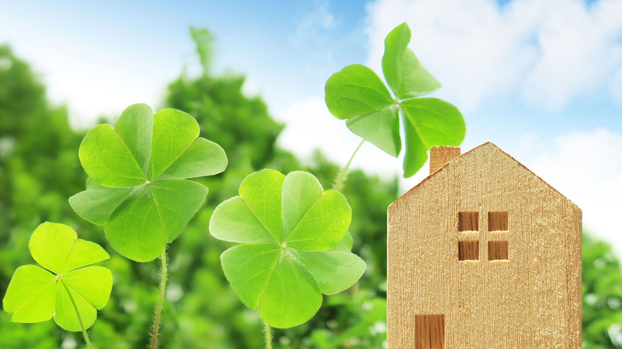 【ZEH協メルマガ NO.64 ZEH-M（低層・中層）説明会のご案内】 ｜ zeh